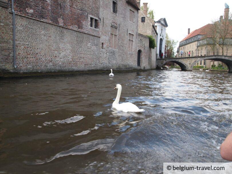 How to Ride a Boat in Bruges - Belgium Travel