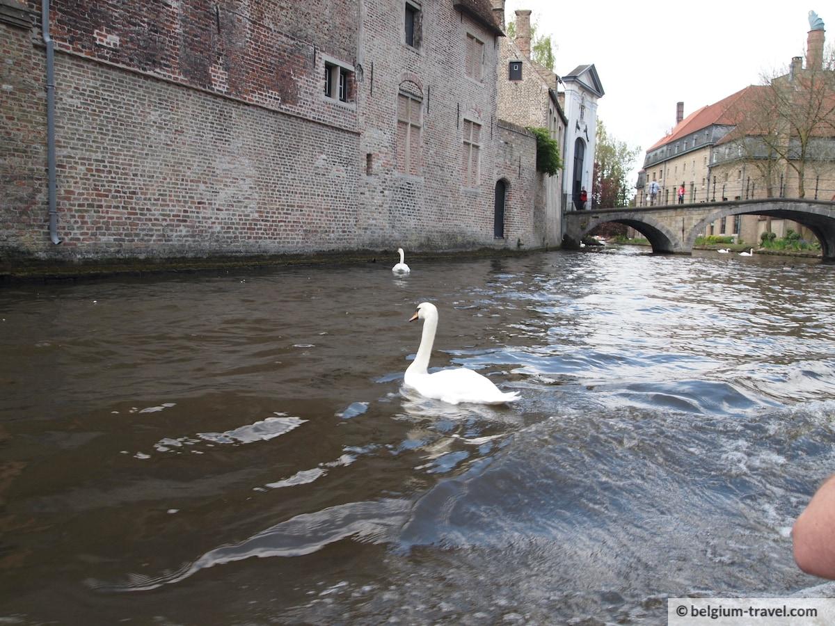 How to Ride a Boat in Bruges - Belgium Travel