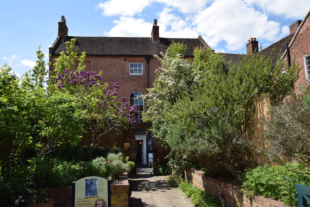 Erasmus House - Belgium Travel